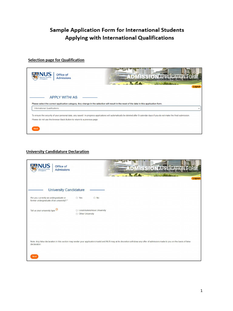 International Student Application Form | PDF | Business | Technology & Engineering