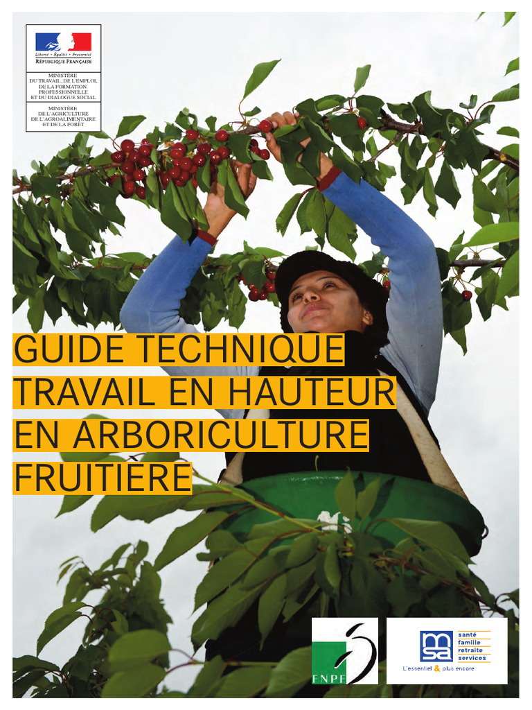 5.2.4-Guide Technique de Travail en Hauteur en Arboriculture Fruitière | PDF