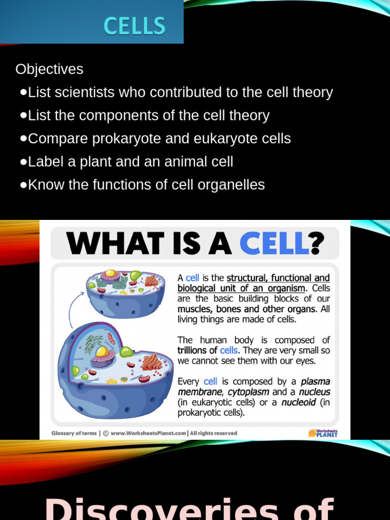 Cell Theory PowerPoint | PDF