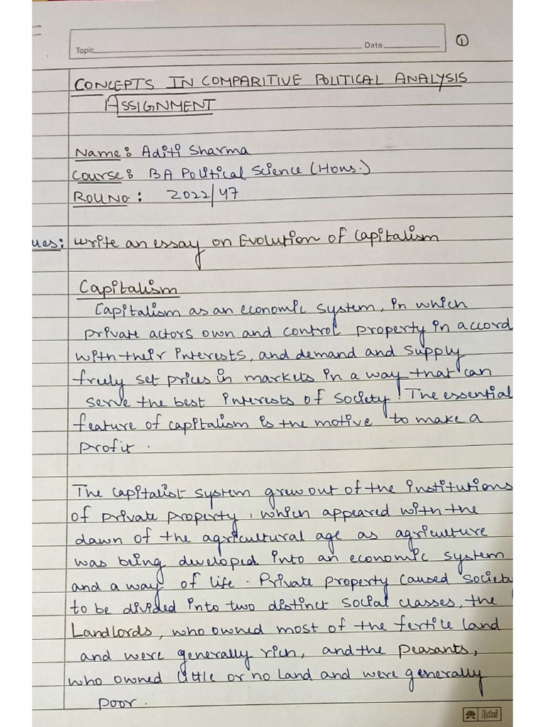 Comp Pol Assignment | PDF