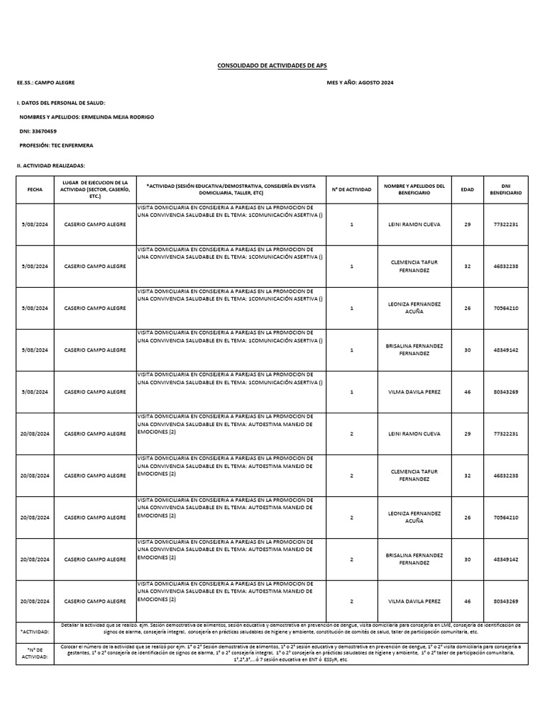 Formato de Consolidado Aps | PDF