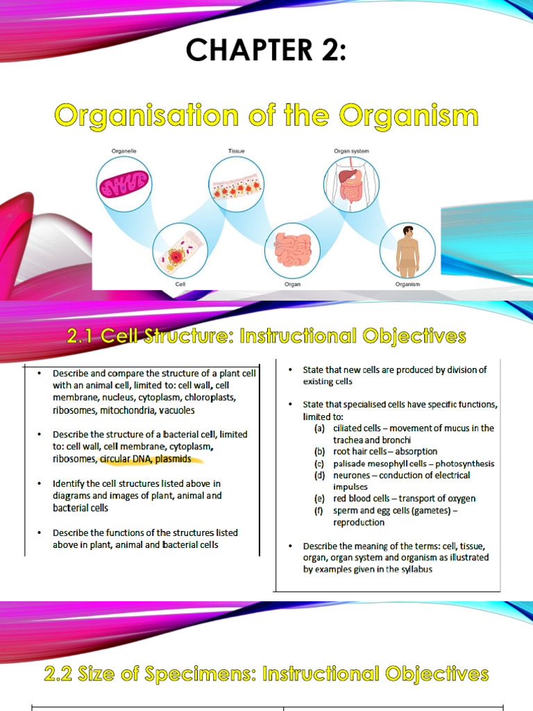 Bio S3K C2 Part I | PDF