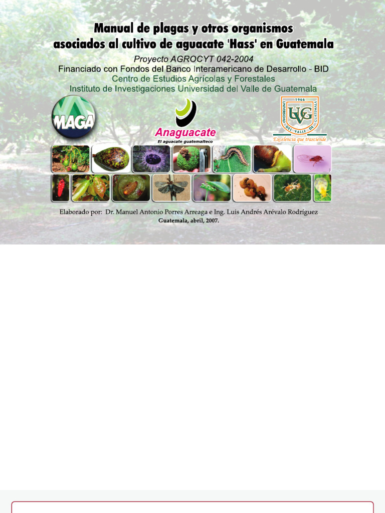 Manualdel Aguacate | PDF