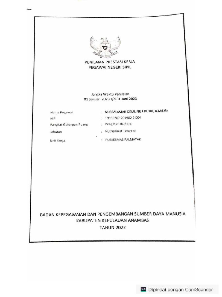 NDP Dikompresi | PDF