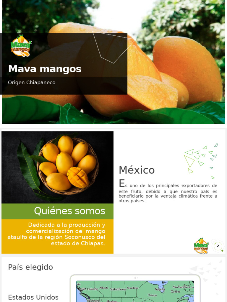 Mava Mangos-1 | PDF