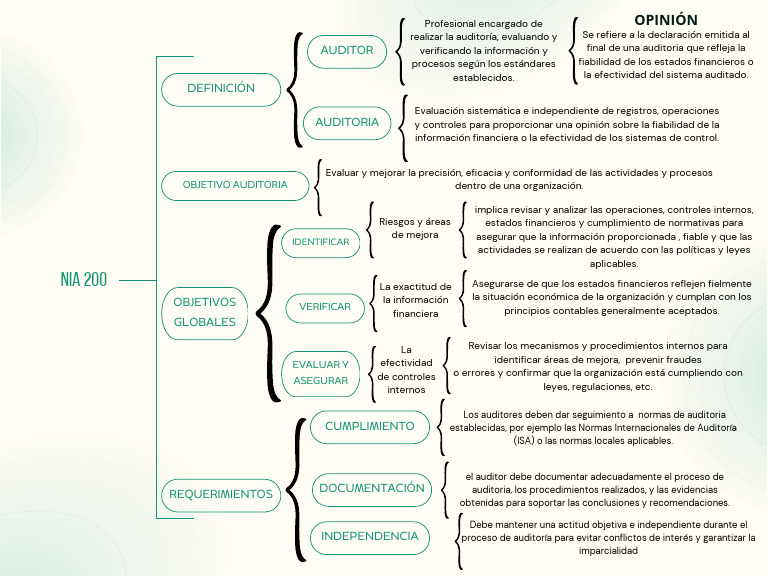 Cuadro Sinóptico NIA 200 | PDF