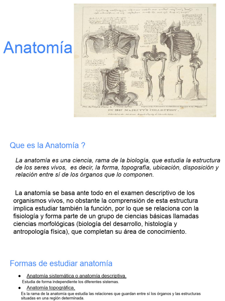 Introducción a la Anatomía y Osteología | PDF | Anatomía | Ciencia y ...