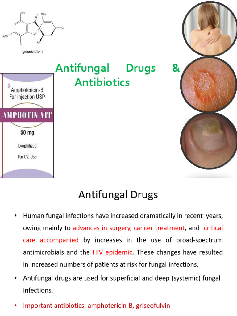 Antifungal Antibiotics | PDF