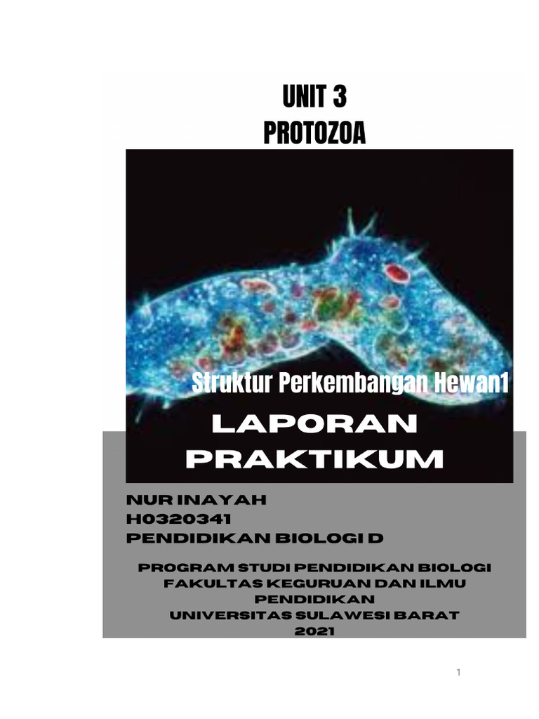 D - 2 - Nur Inayah - Laporan SPH 1 Unit 3 | PDF