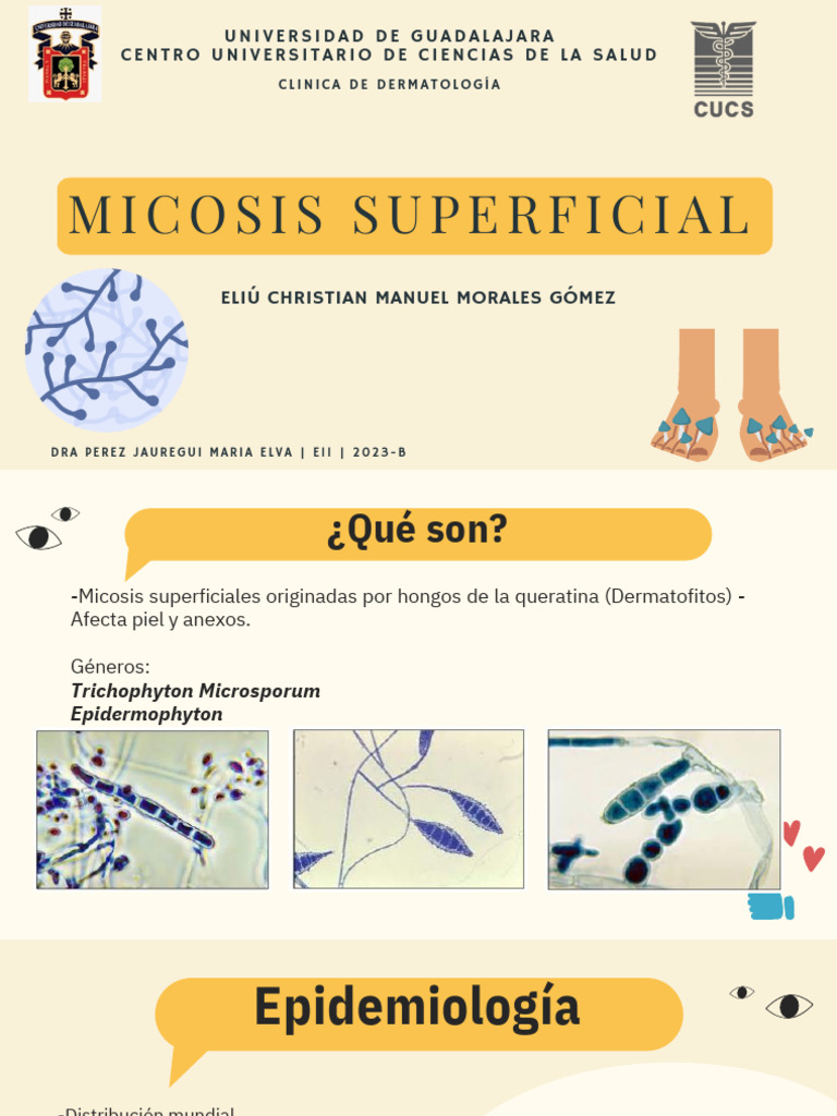 Micosis Superficial: Diagnóstico y Tratamiento | PDF | Epidemiología | Piel