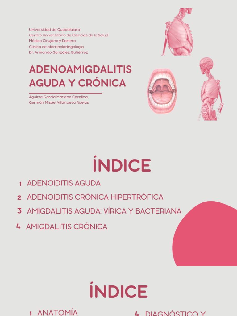 Adenoamigdalitis Aguda y Crónica | PDF | Linfocitos | Célula T