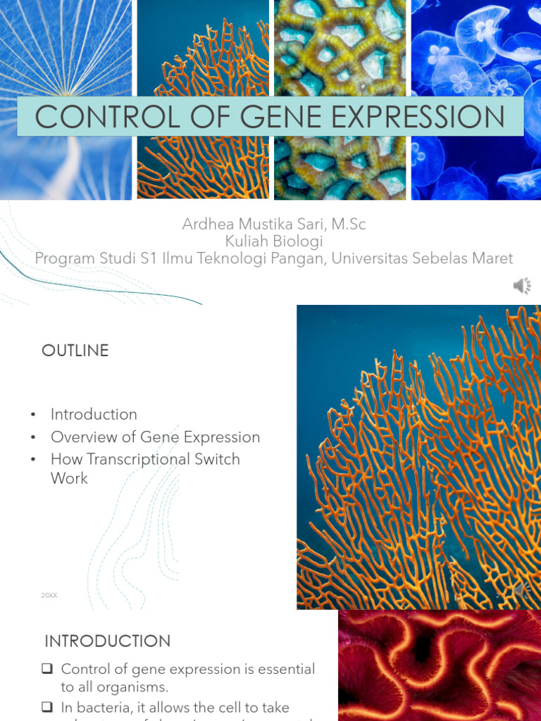 Control of Gene Expression | PDF | Gene | Science & Mathematics