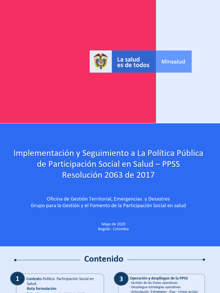 IMPLEMENTACION PPSS Presentacion | PDF