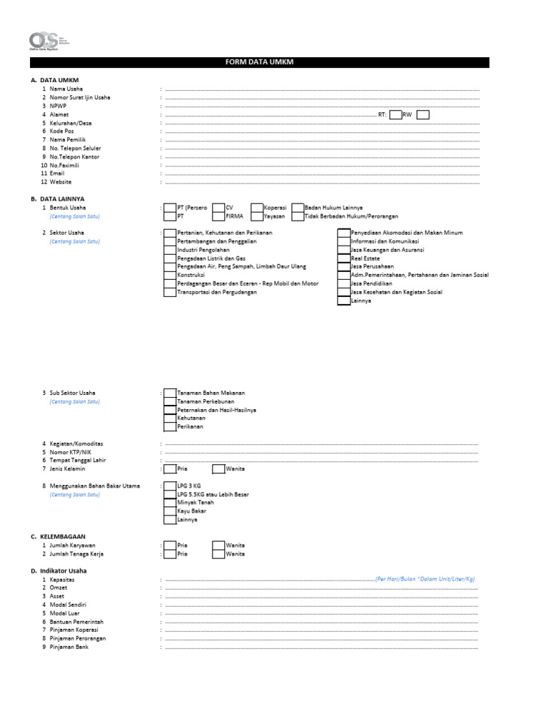 Form Data UMKM | PDF
