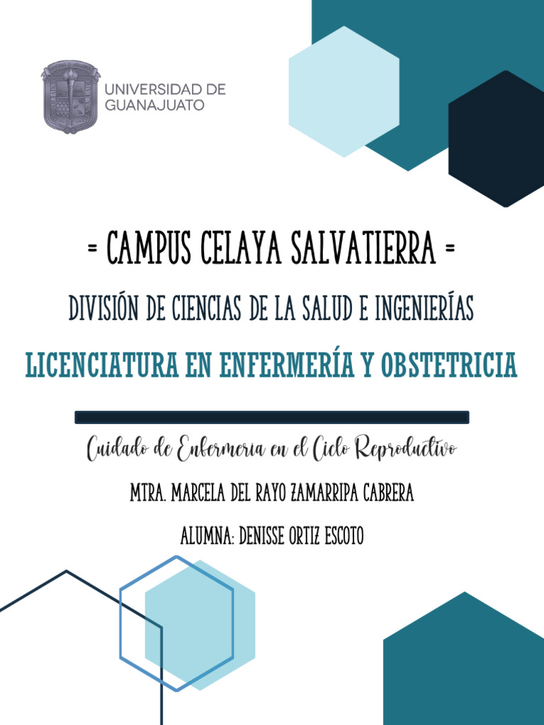 Act Integradora 2 + Denisse Ortiz Escoto | PDF