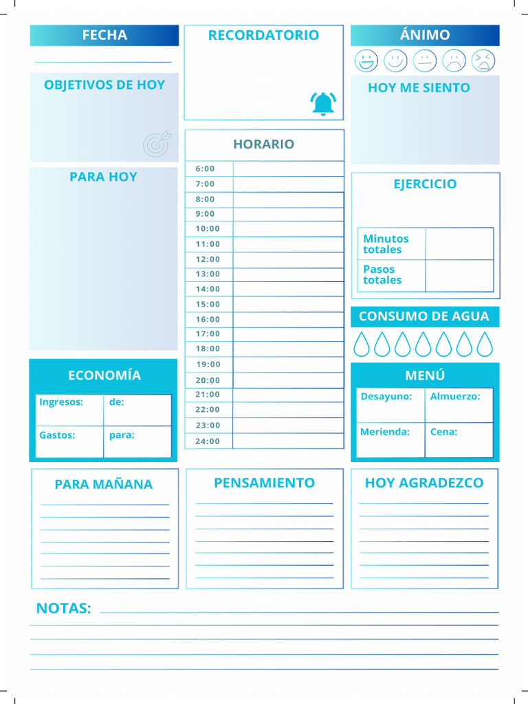 Planilla Planificasion Diaria | PDF
