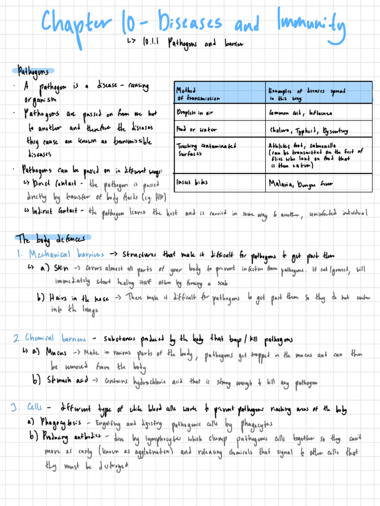 Biology Igcse CH10 Notes | PDF