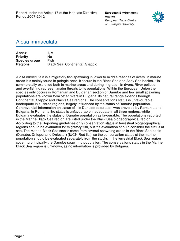 Alosa Immaculata | PDF