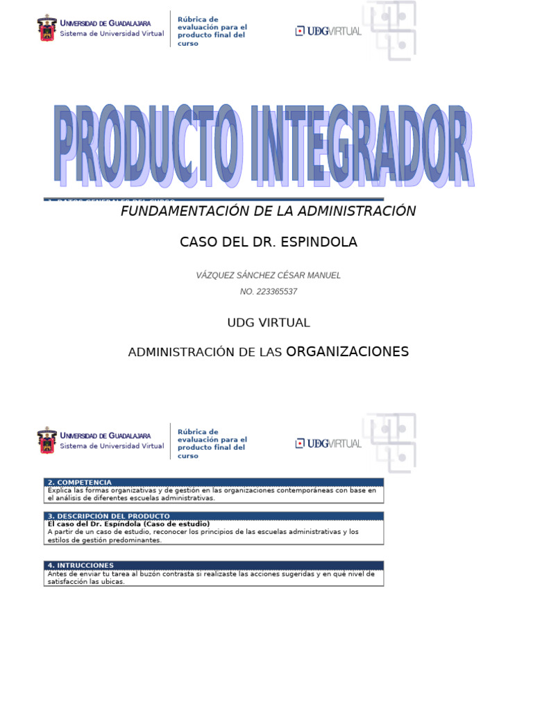 Producto Integrador - Dr. Espindola (Final) | PDF