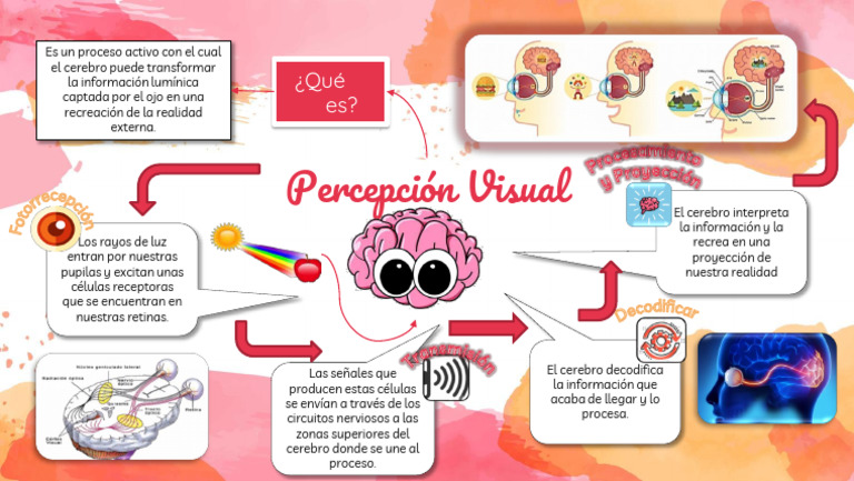 Percepción Visual-Infografía | PDF