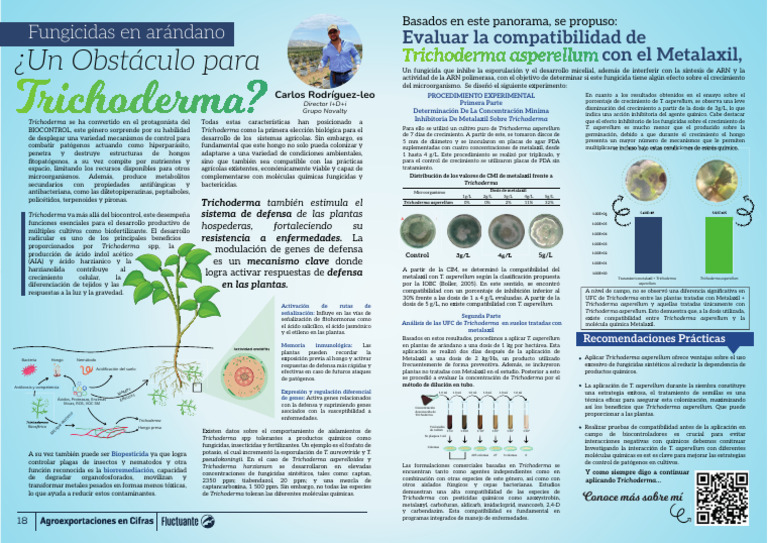 Compatibilidad de Trichoderma Asperellum Con Metalaxil 1720190547 | PDF