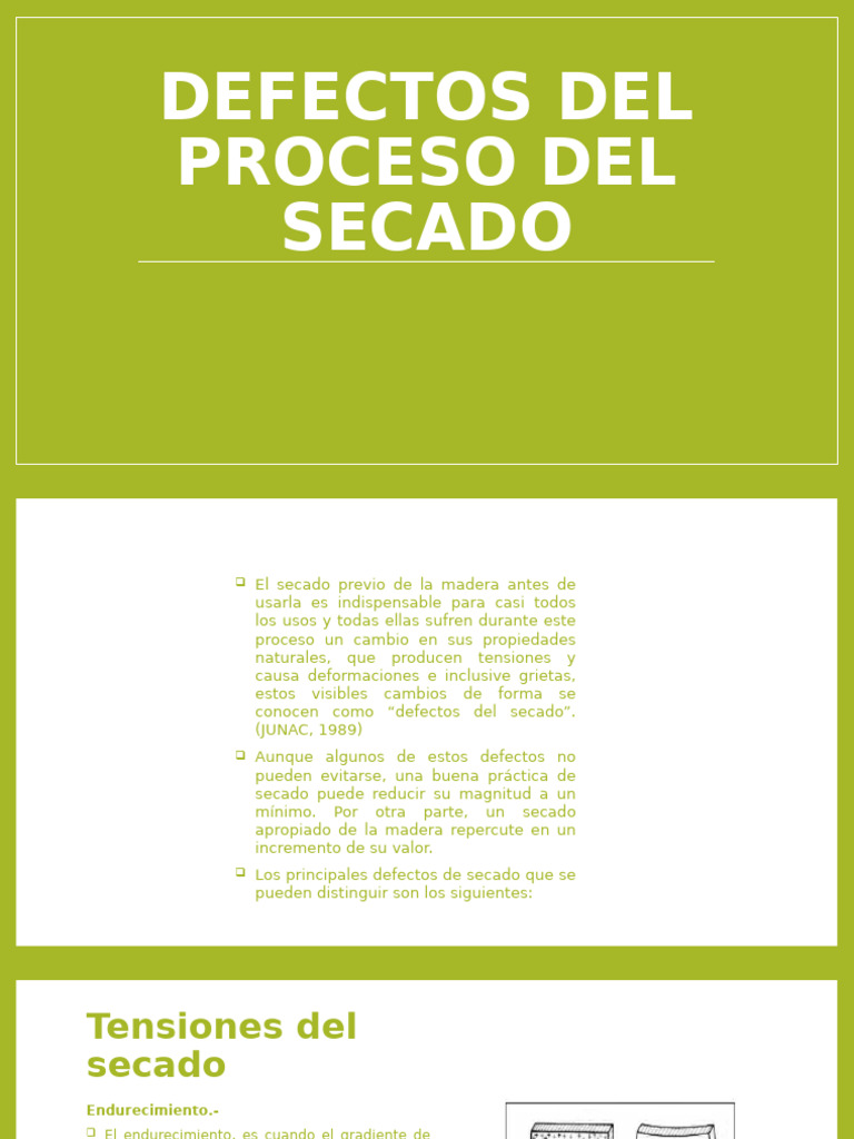 Defectos Del Proceso de Secado | PDF