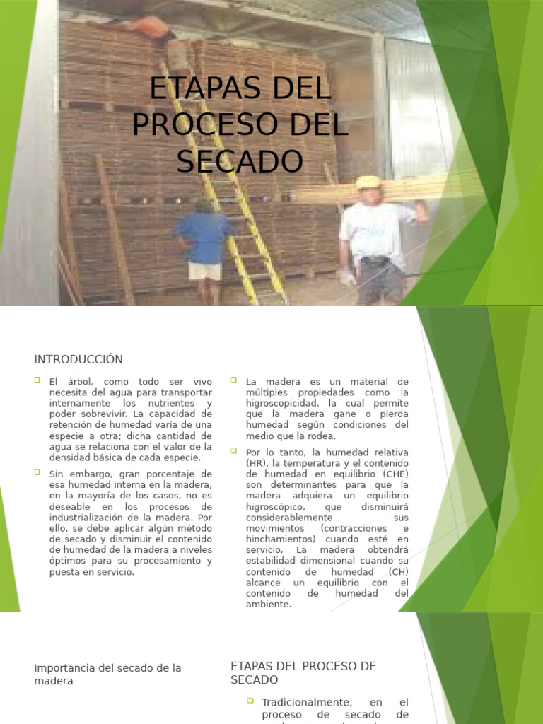 Etapas Del Proceso Del Secado | PDF