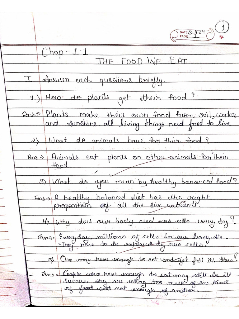 Class-8th English | PDF