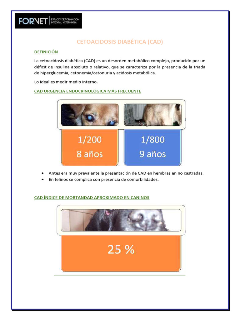 CLASE CETOACIDOSIS DIABETICA CAD. Javier Mouly | PDF