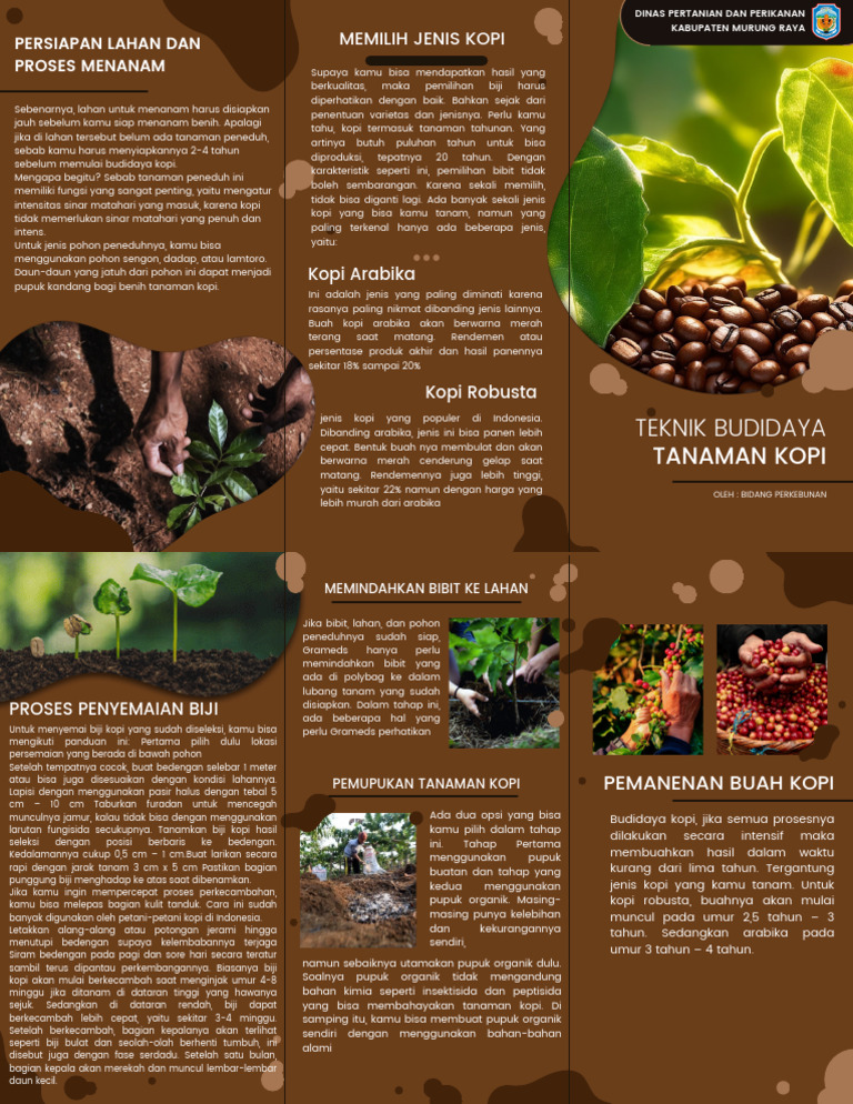 Budidaya Kopi-1 | PDF