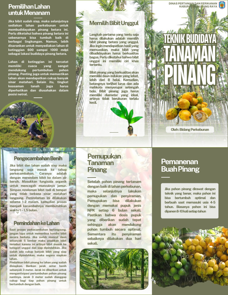 Budidaya Pinang-1 | PDF