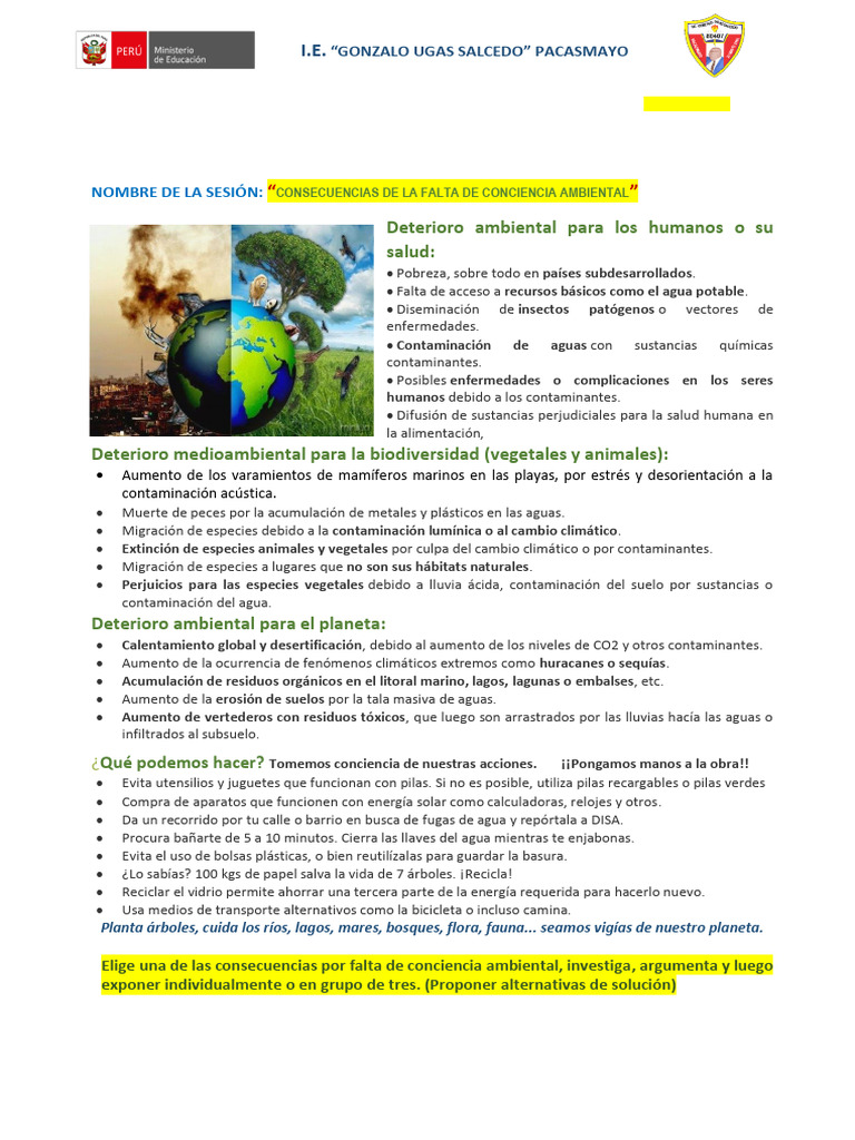 Consecuencias de La Falta Conciencia Ambiental | PDF
