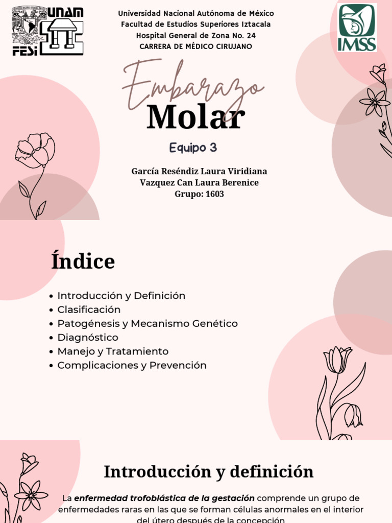 Embarazo Molar | PDF | Reproducción | Ciencias de la Salud