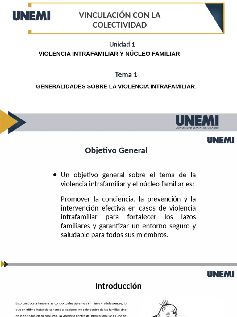 Unidad 1 - Tema 1-Diapositivas-Unemi | PDF