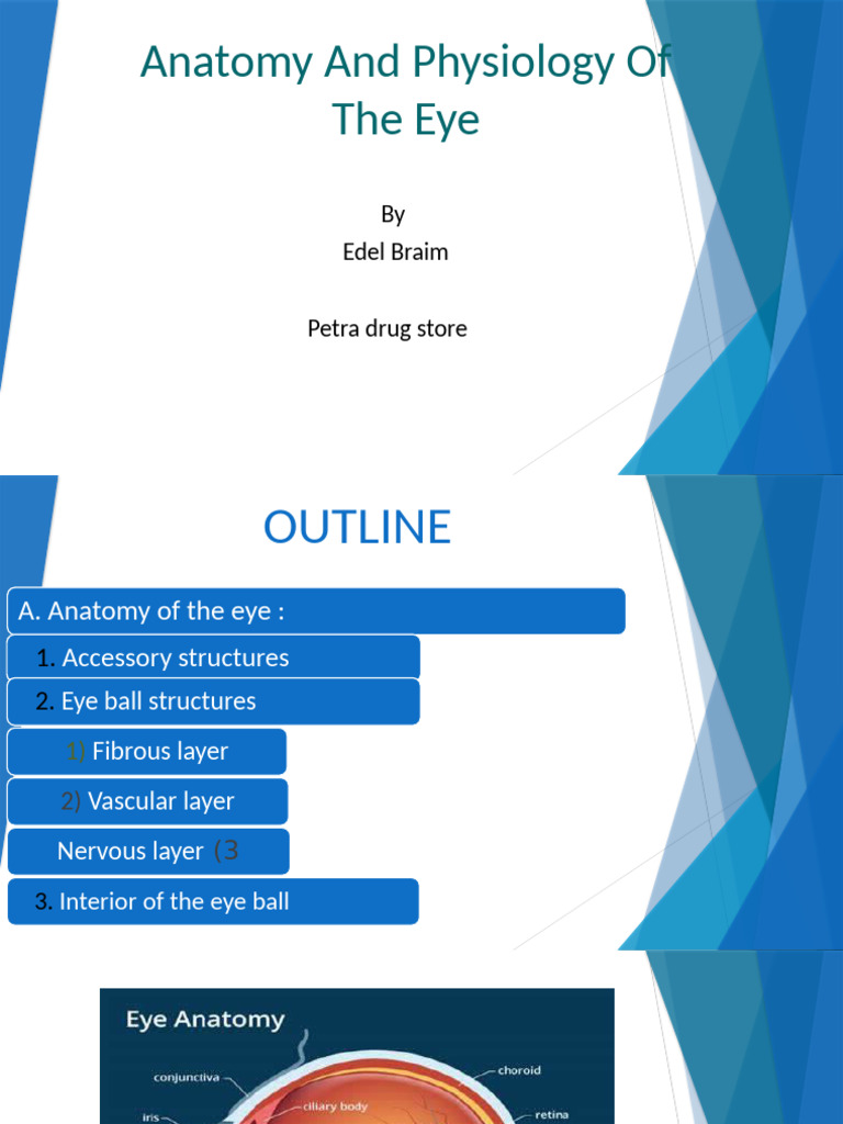 Anatomy and Physiology of The Eye | PDF