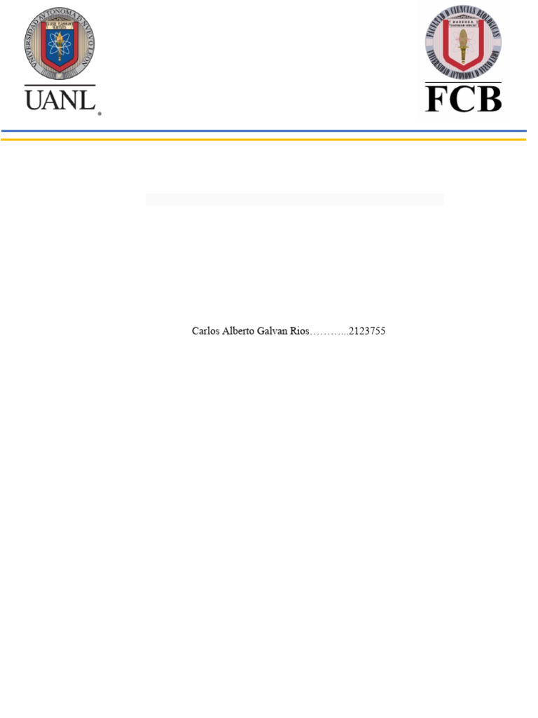 352 E2024 2P P2 - Galvan Rios | PDF