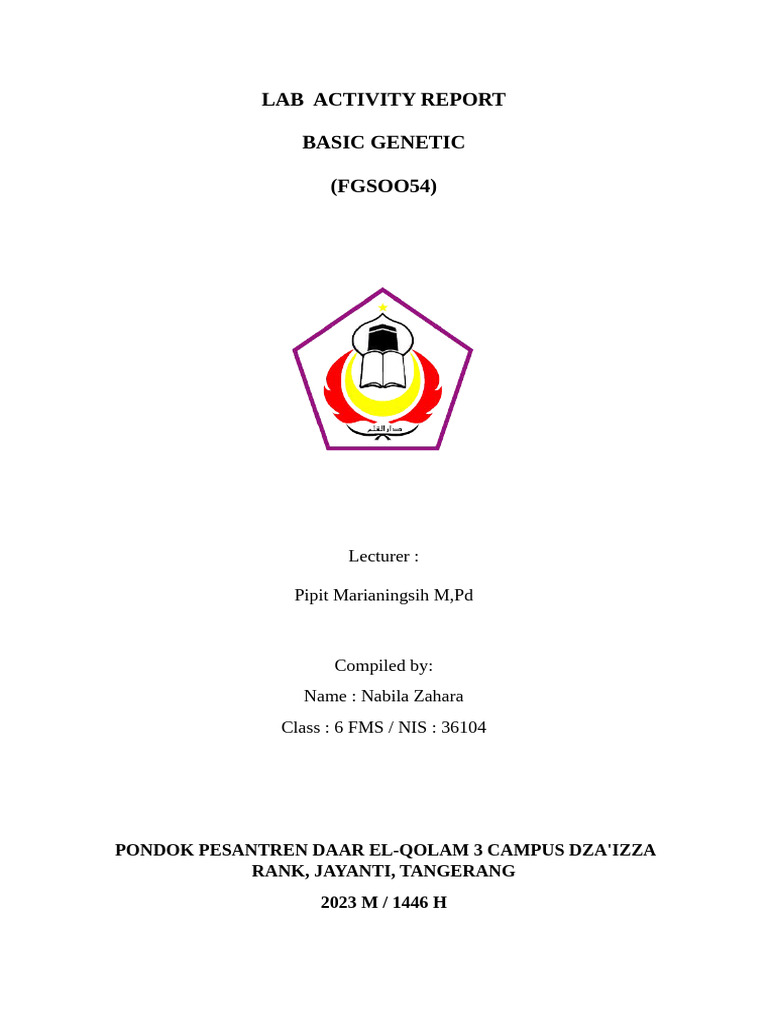 Lab Activity Report | PDF