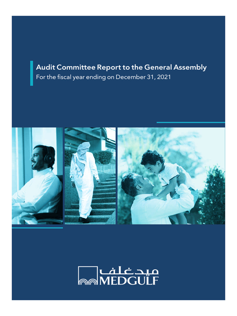 Audit Committee Report 2021 | PDF