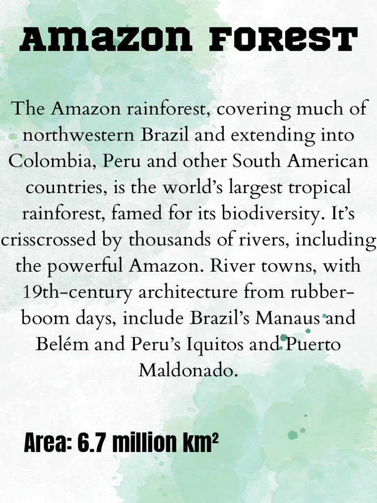 Amazon Forest | PDF