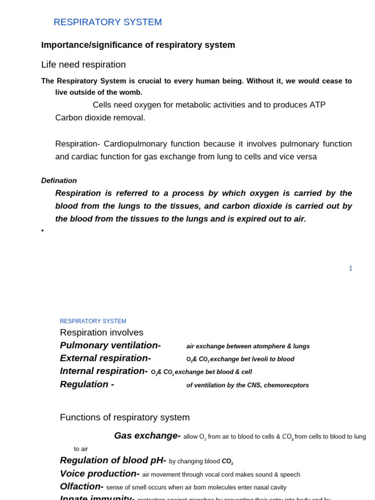 Respiratory System | PDF