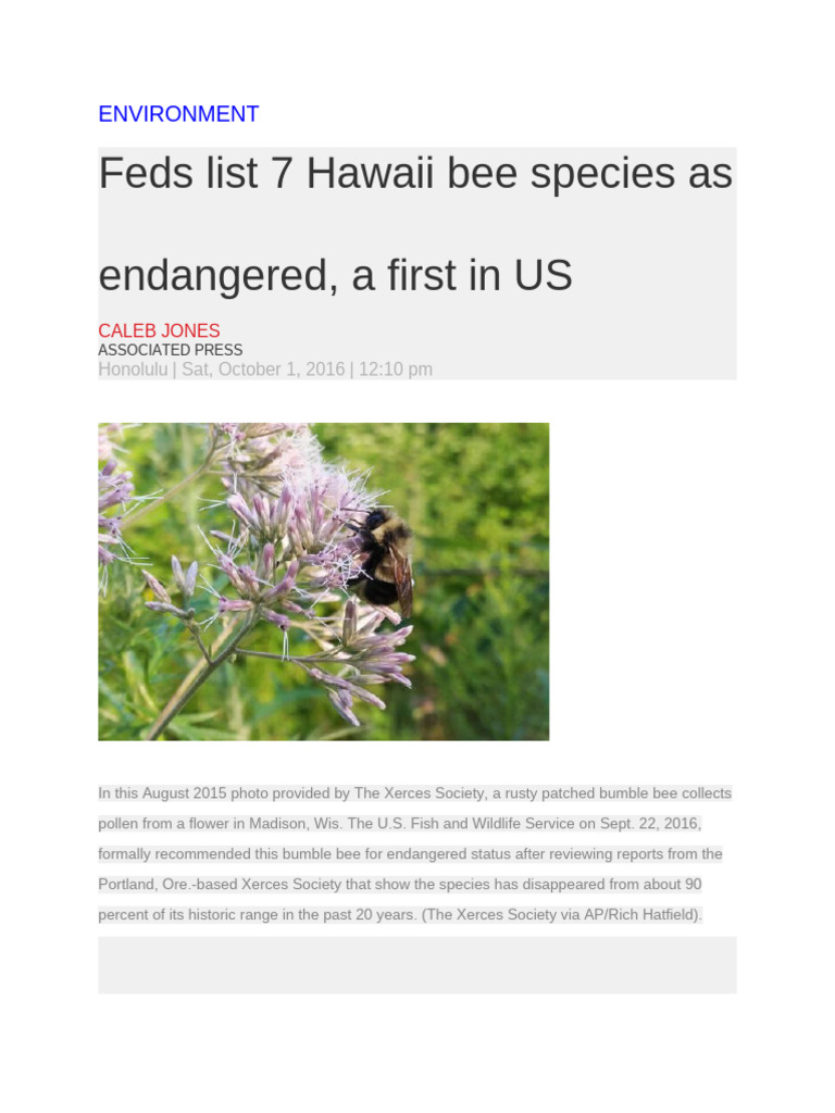 Bumble Bee | PDF | Bees | Home & Garden