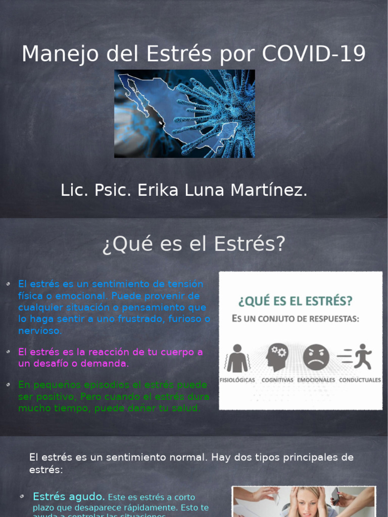 Manejo Del Estres | PDF