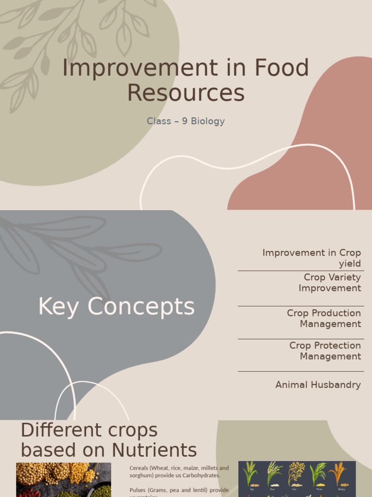 Improvement in Food Resources | PDF