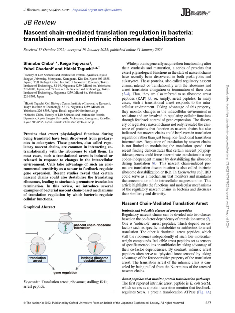 Nascent Chain-Mediated Translation Regulation in Bacteria | PDF