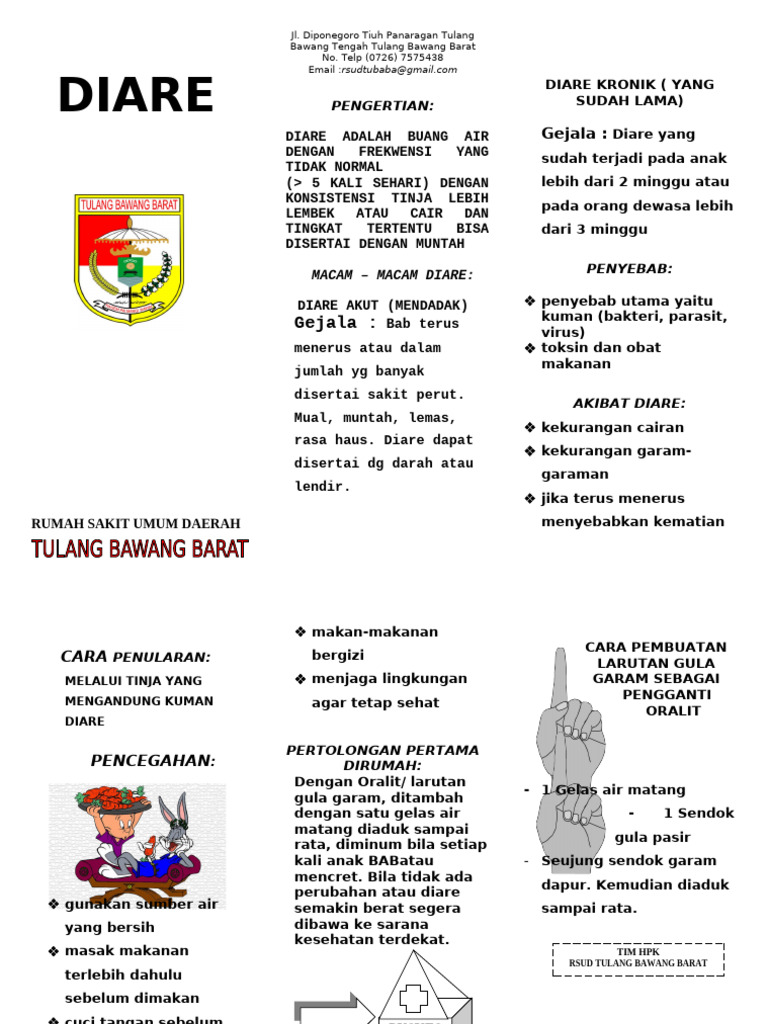 Leaflet Diare | PDF
