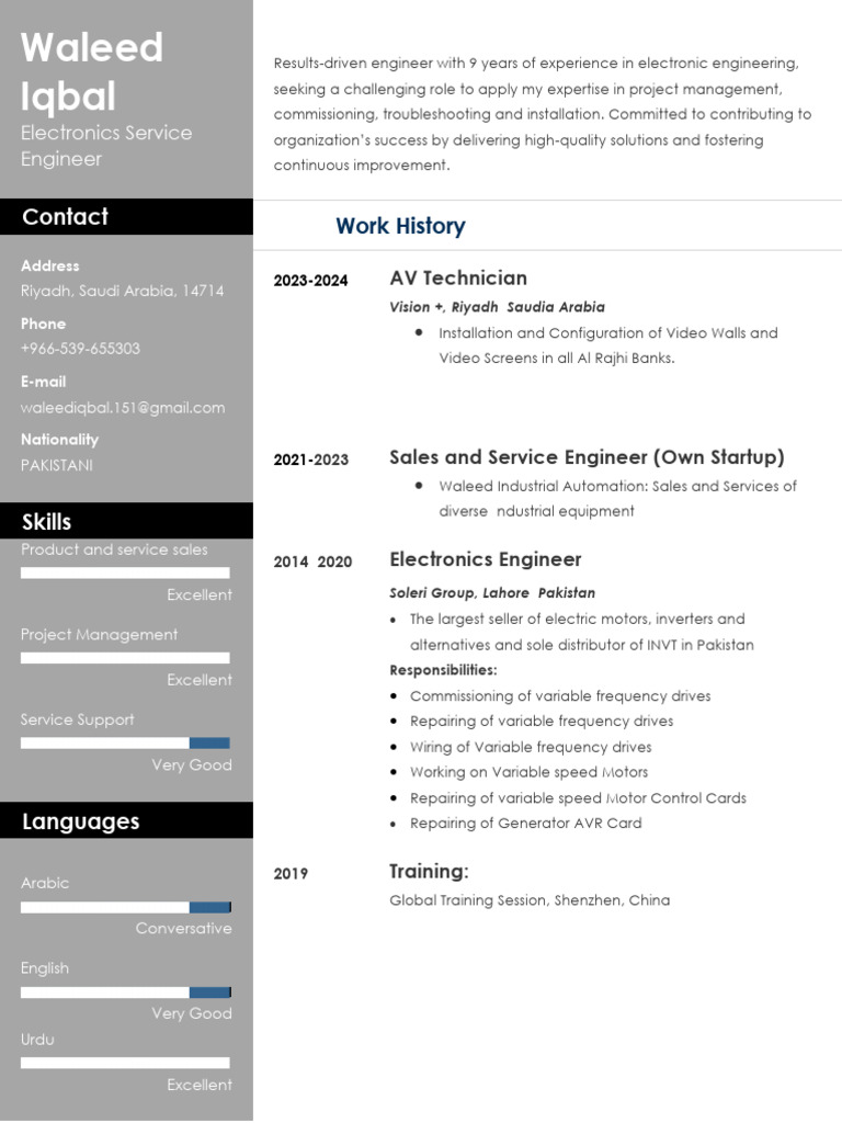 Updated CV June 2024 | PDF