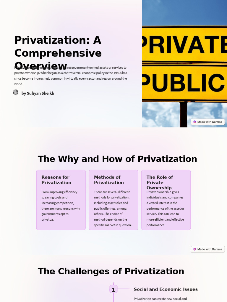 Privatization A Comprehensive Overview | PDF | Privatization | Public–Private Partnership