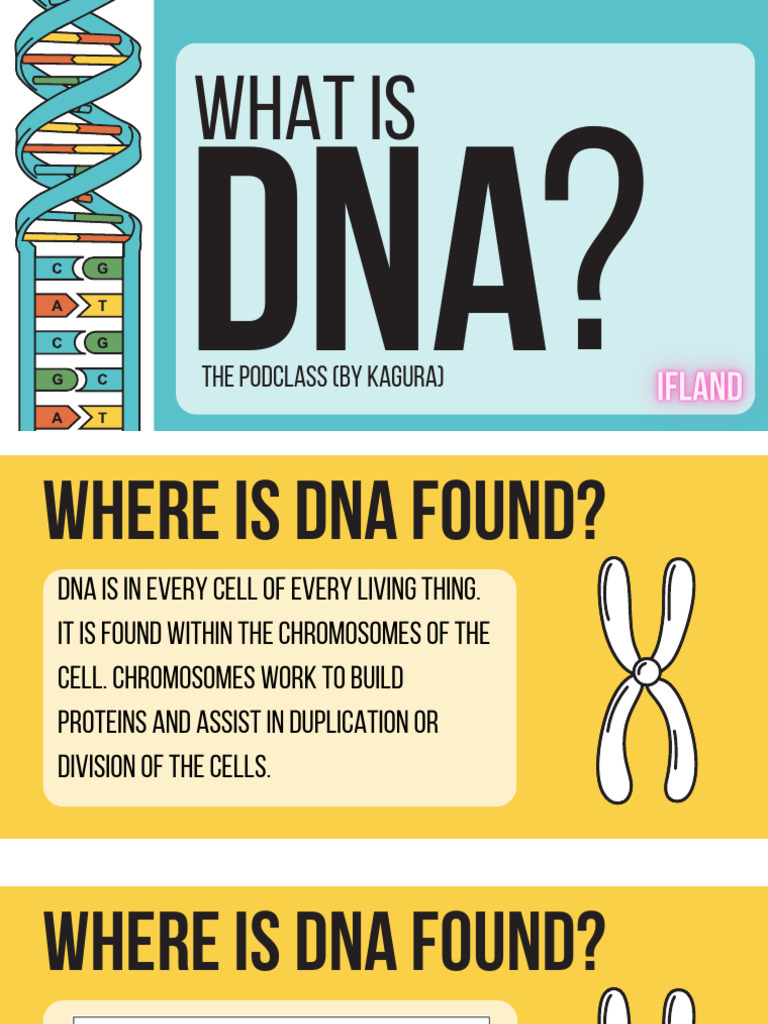 DNA Biology Science Education Presentation in Blue Orange Illustrated ...
