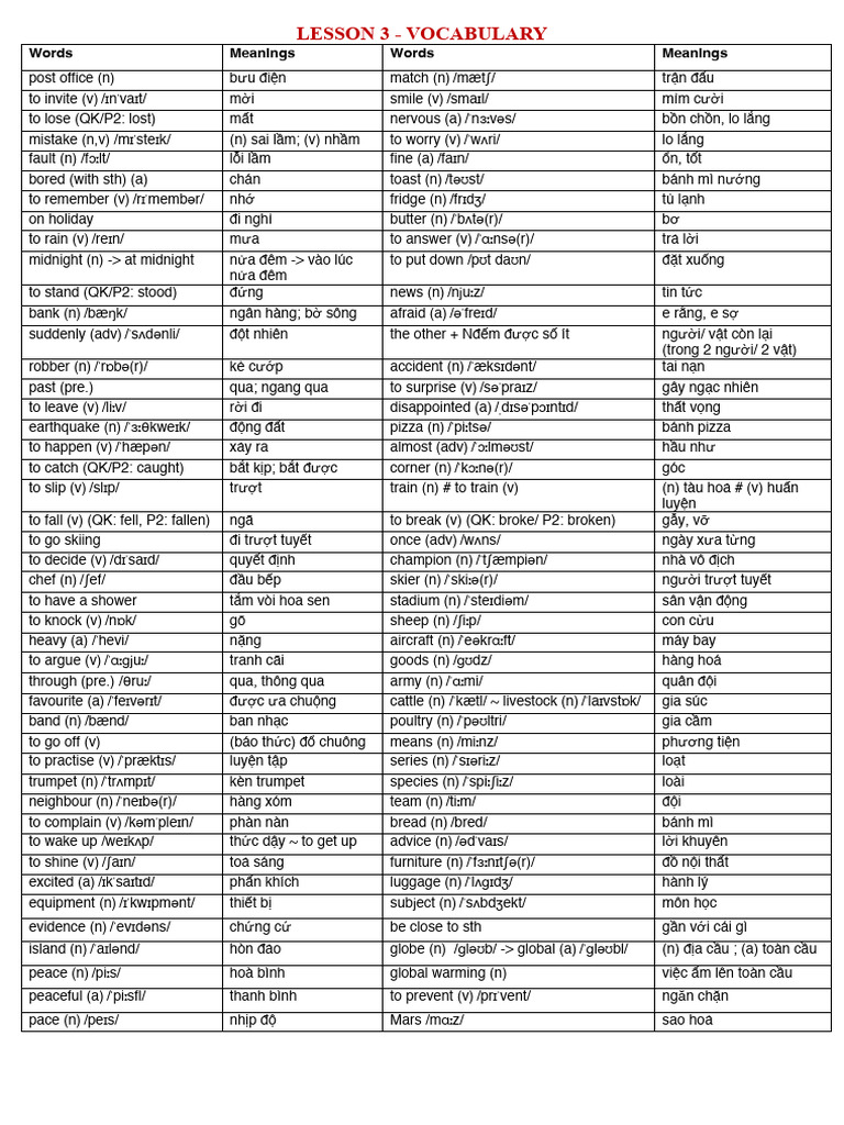 LESSON 3 Vocabulary | PDF