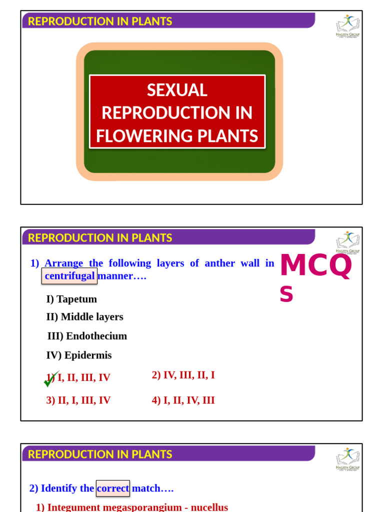 Biology - XII - Sexual Reproduction in Flowering Plants - MCQs 3 | PDF